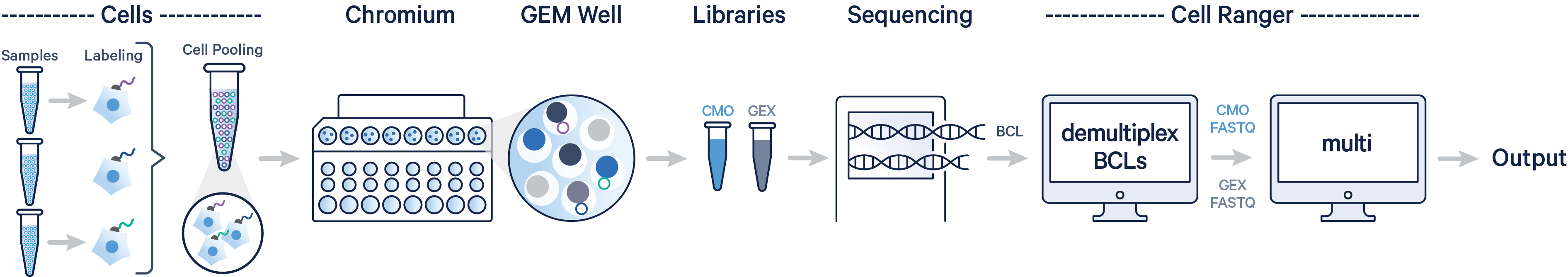 What is Sample Multiplexing? | 10x Genomics